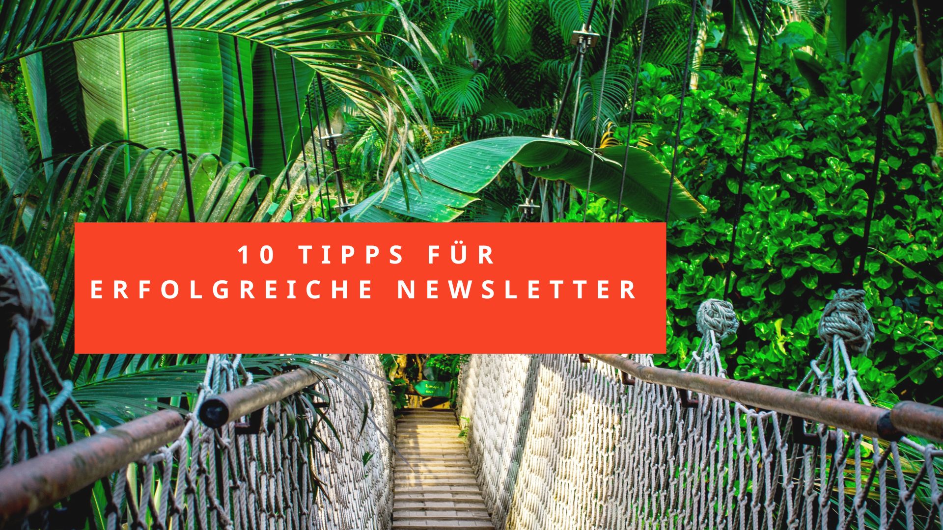 10 Tipps um erfolgreiche Newsletter zu erstellen
